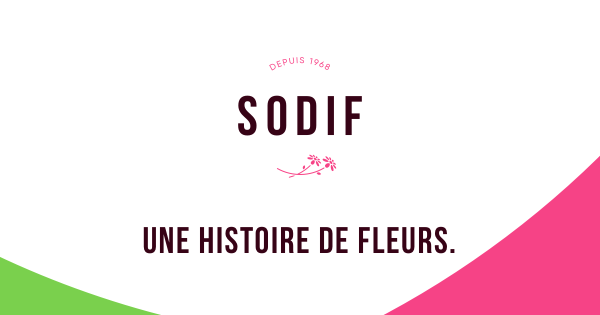 SODIF Fleurs